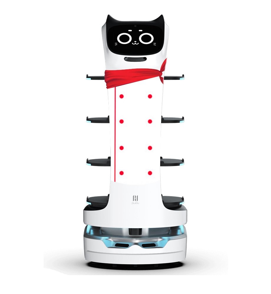 BellaBot Delivery Robot For Restaurants