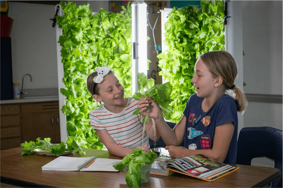 Flex Farm for Education