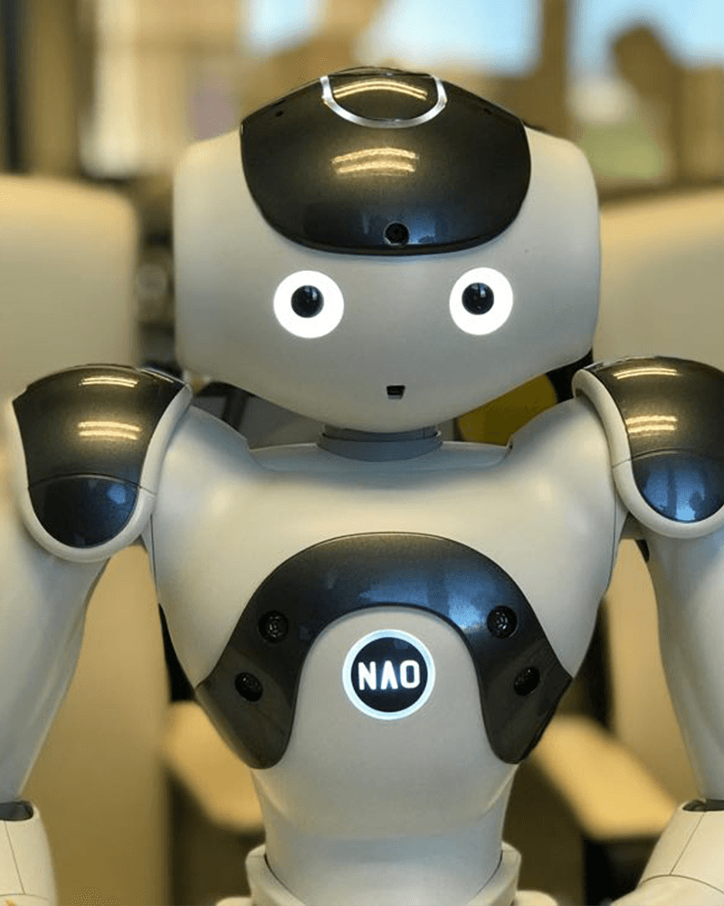 Capability Special Education