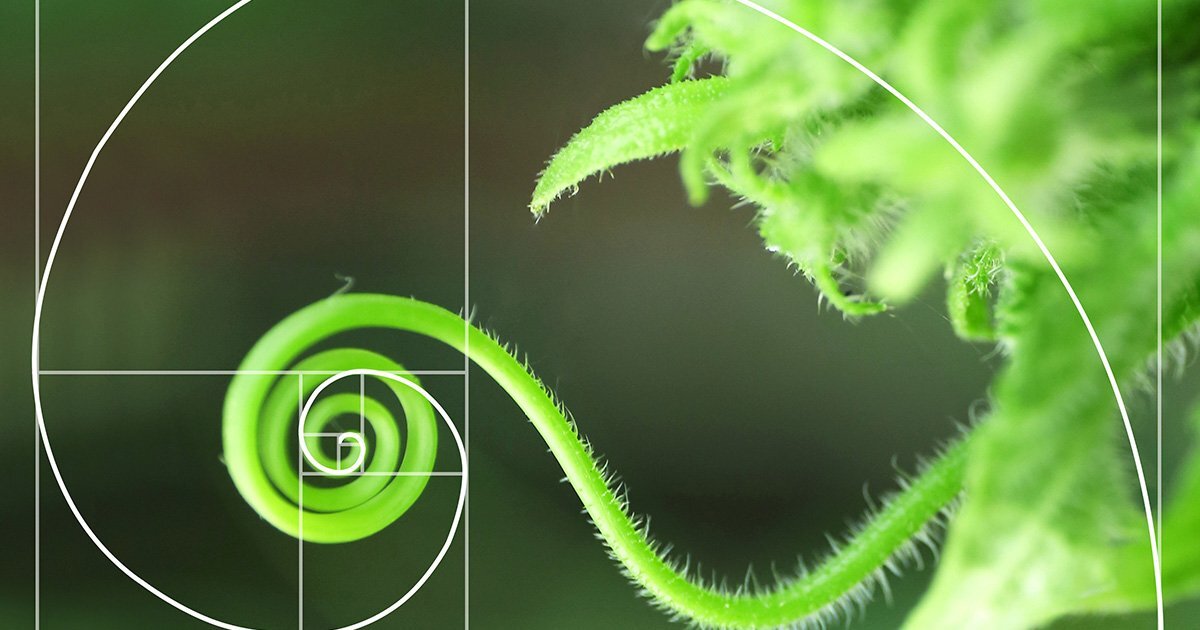 Math in The Great Outdoors