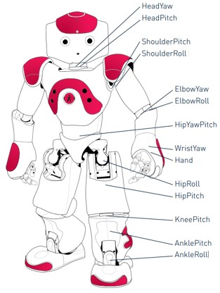 NAO Anatomy: Sensing and Movement on Your Robot