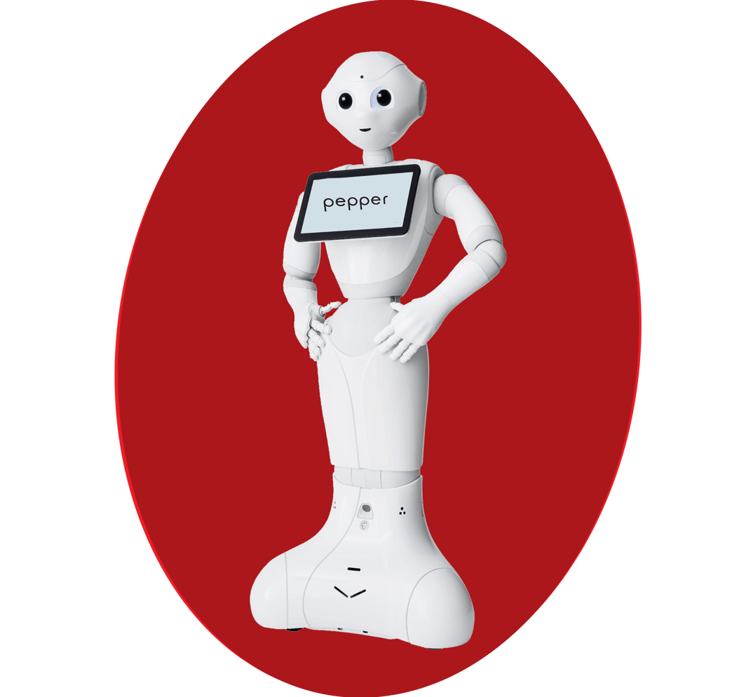 Pepper Robot Website