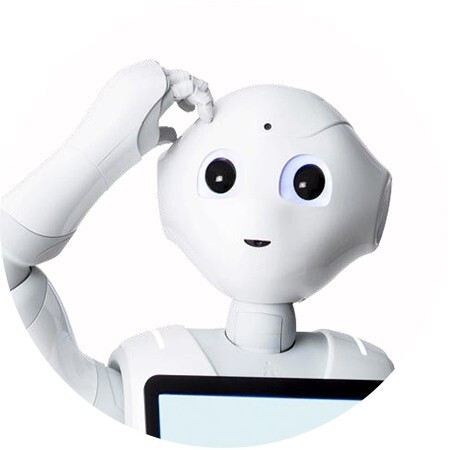 Pepper Robot Website