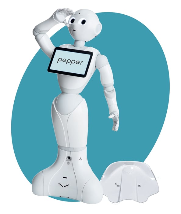 Pepper Robot Website