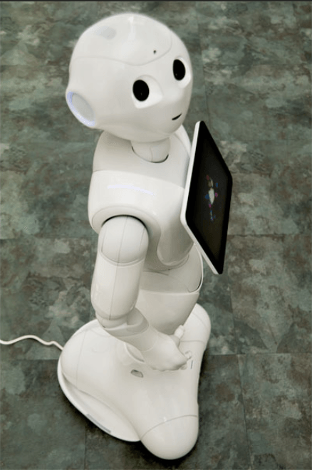 Pepper Robot Charging Station