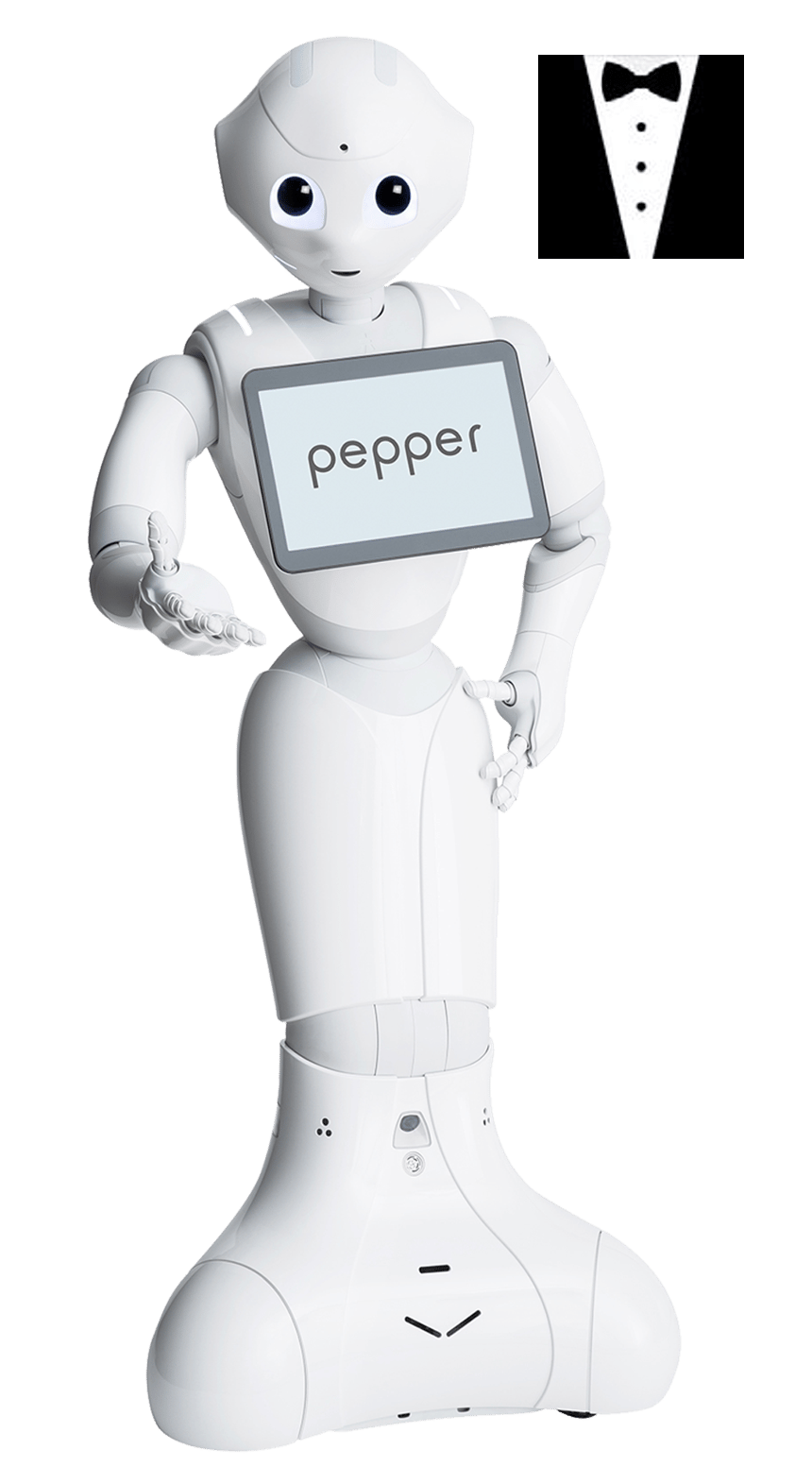 PEPPER ROBOT HOST EDITION (Documents)