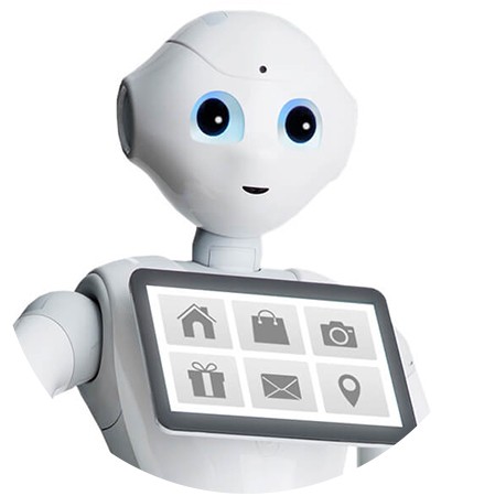 Pepper Robot Website