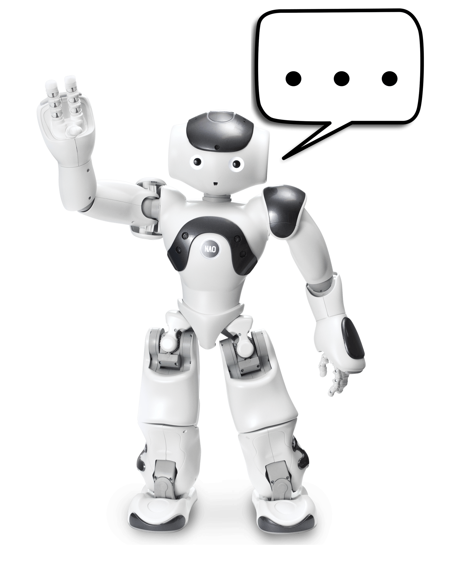 NAO Robot Customize Greeting