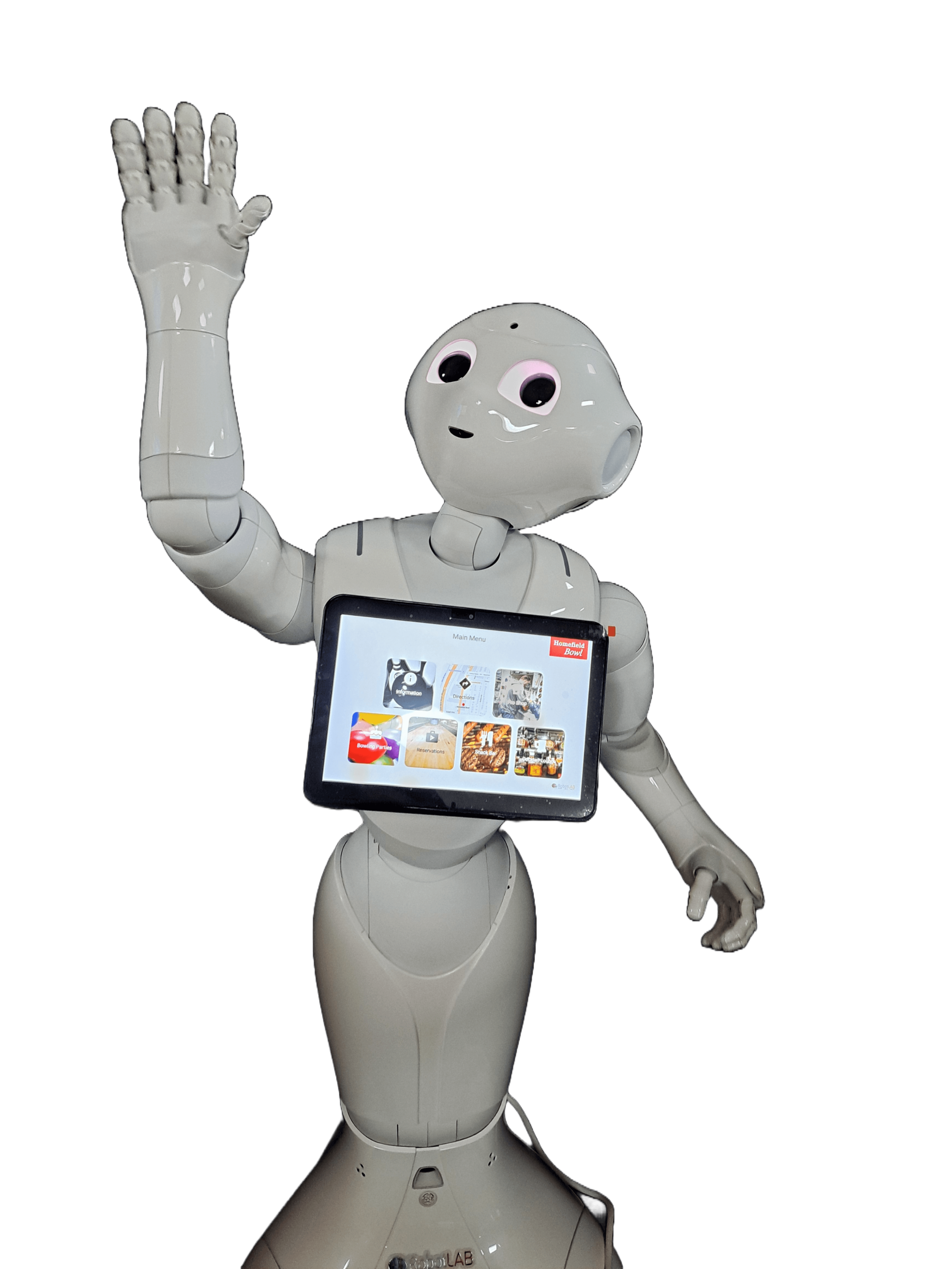 Capabilities of Memory Care Robots | Assisted Living Technology | RobotLAB