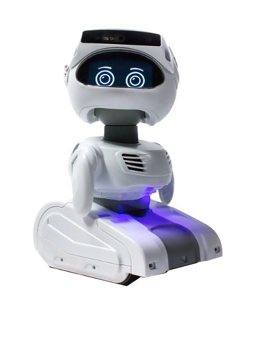 Misty Robot (Documents)