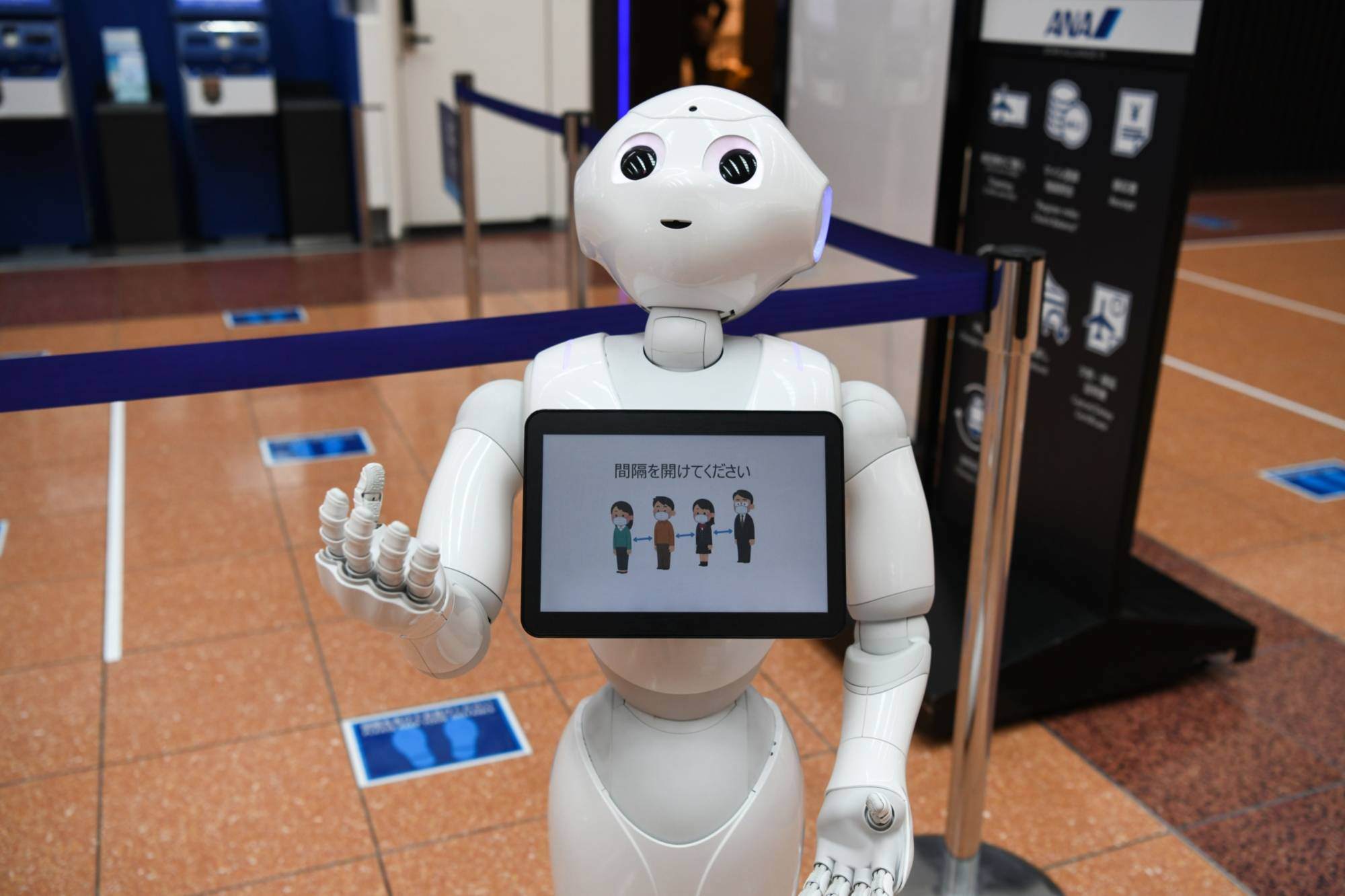 Softbank Pepper Robot