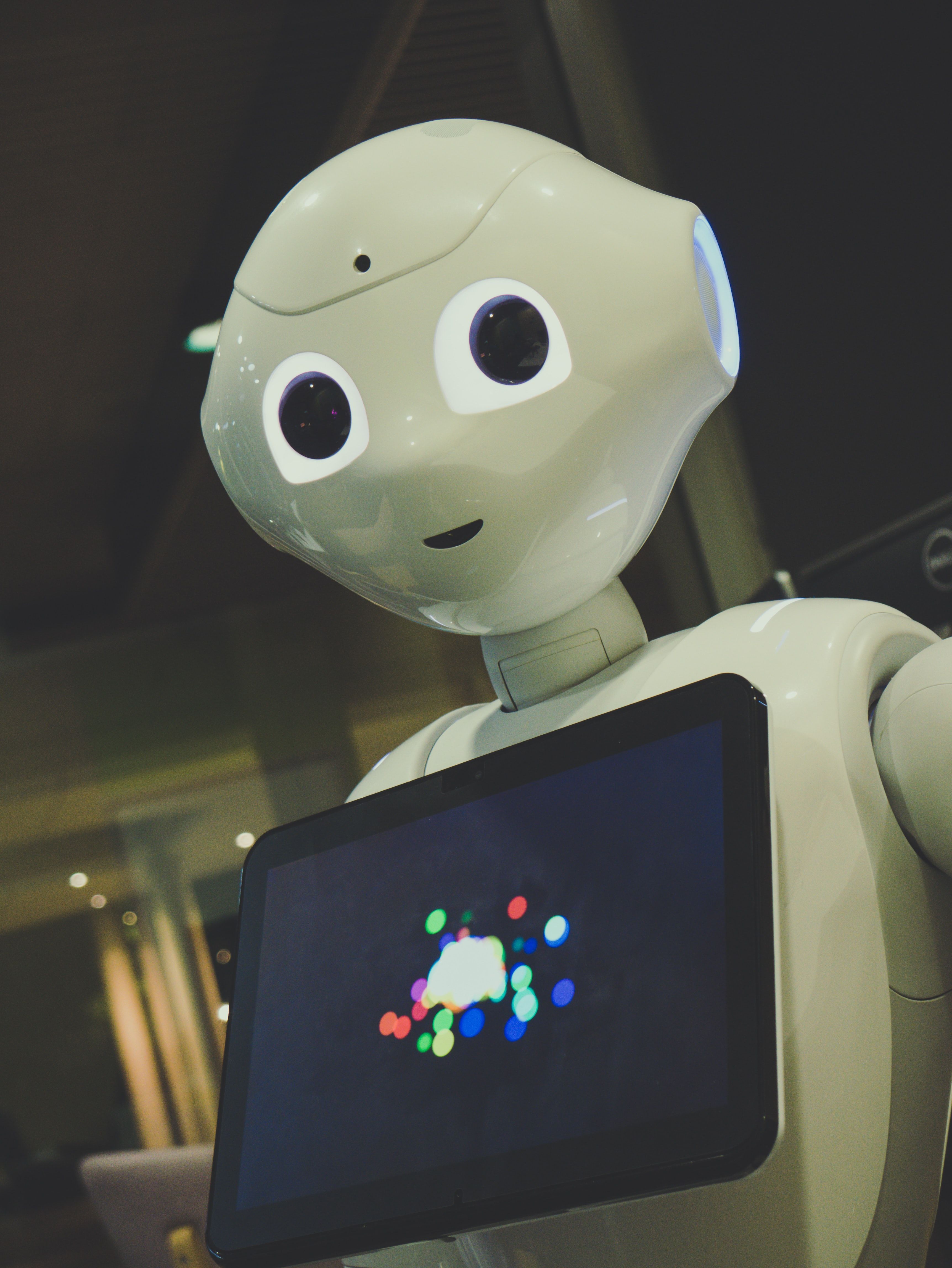 Robots as Learning Companions During a Pandemic