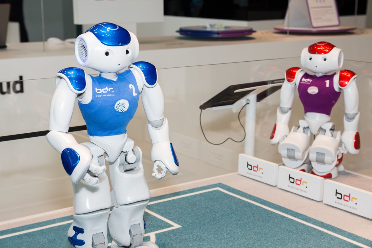 NAO Robot RoboCup Edition for Schools