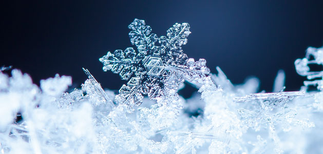 Smart Friday with RobotLAB- The Geometry of Snowflakes