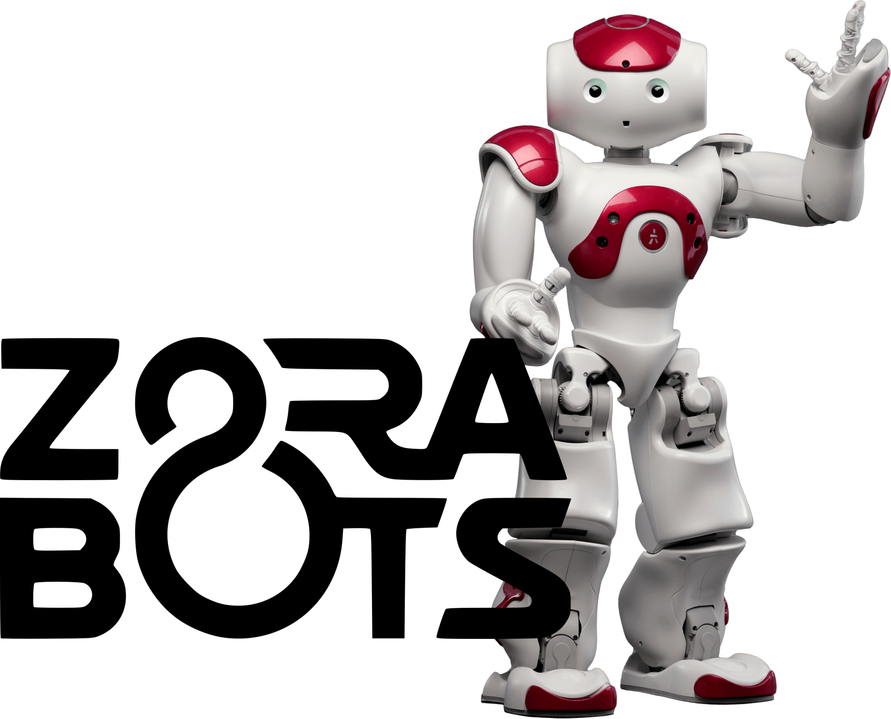 Zora Robot for Healthcare