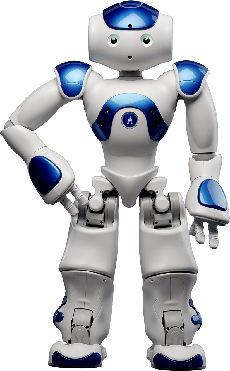NAO V5 Standard Edition